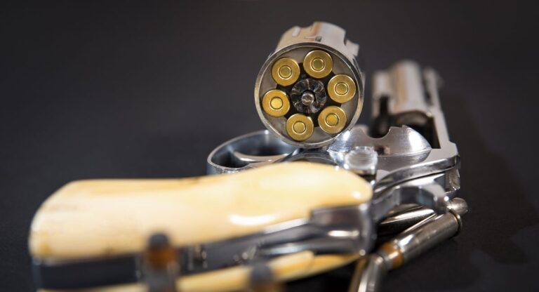 Gun Guide: What Is a Single-Action Revolver? – Future Army Officers